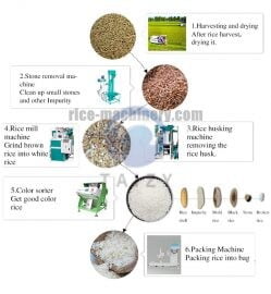 15T/D integrated rice milling unit - Taizy Rice Machine